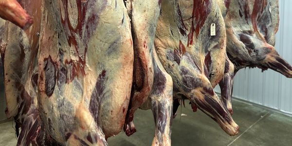 The Bare Bones Process